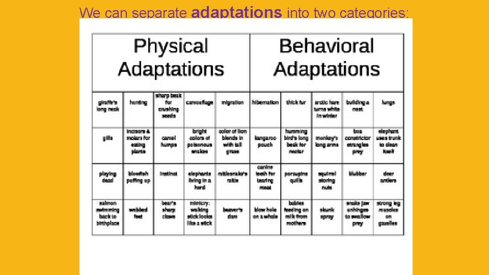 21617 SWBAT identify behavioral and physical adaptations 1