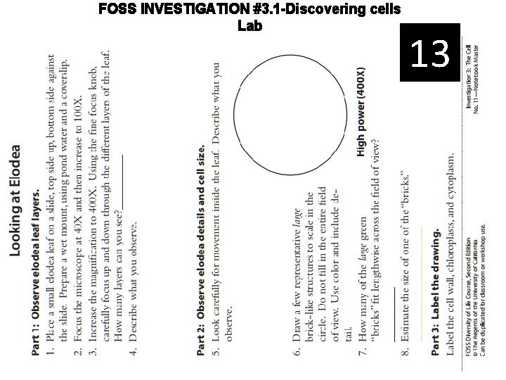 Plants Week 3 Booklet Living vs NonLiving Foss