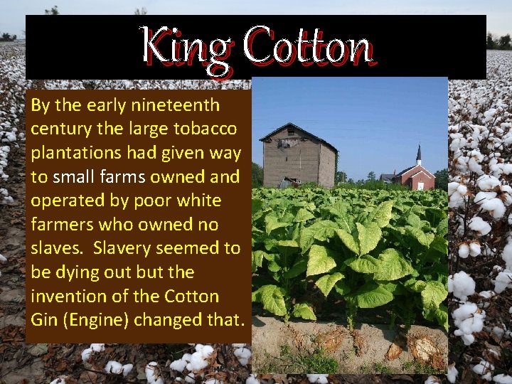 Unit 10 Lesson 5 King Cotton Objective SWUT