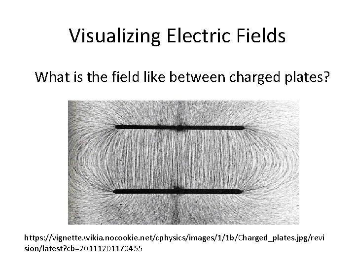 HandsOn Fields All materials are available at roberta