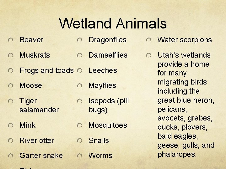 The Plants and Animals of Utahs Biomes Wetland