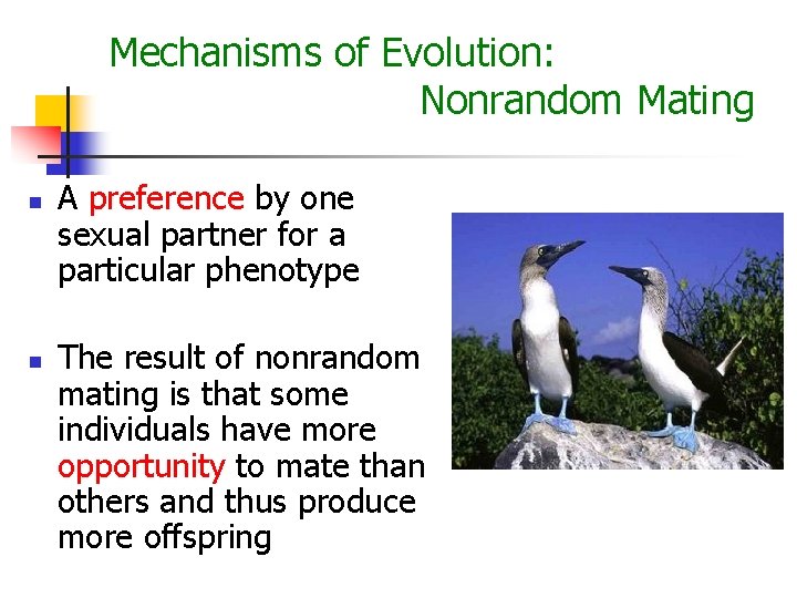 WELCOME BACK In Activity Scent Lab 1 Pick