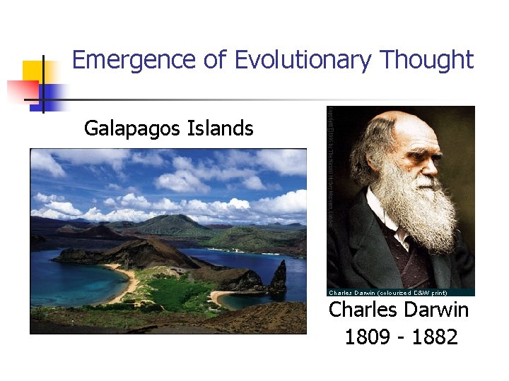 WELCOME BACK In Activity Scent Lab 1 Pick