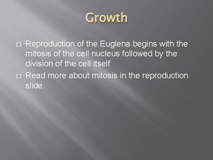THE EUGLENA A Powerpoint Presentation by Jameson Mc
