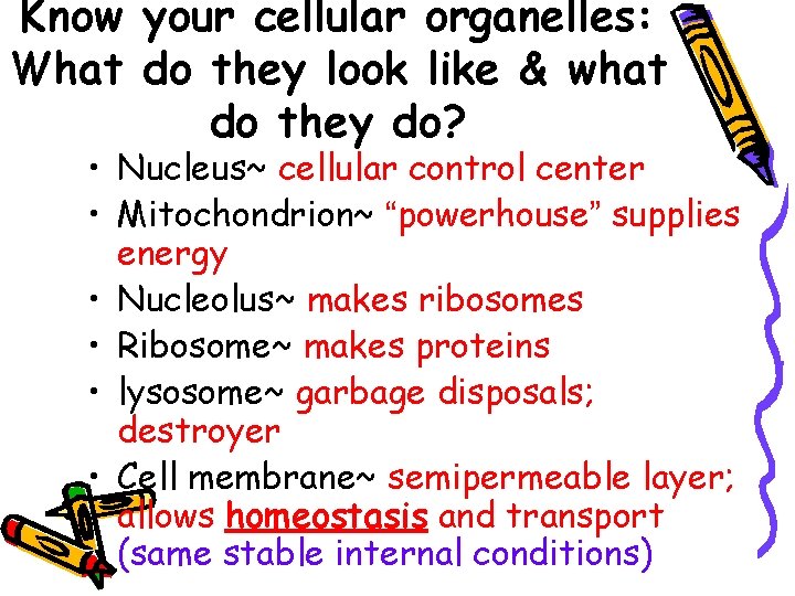 CP Biology Review Yea Steps in the Scientific