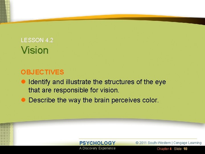 CHAPTER 4 Sensation LESSONS 4 1 Basic Principles