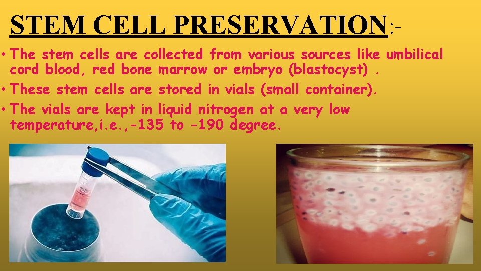 CHAPTER 8 CELL BIOLOGY AND BIOTECHNOLOGY LECTURE 01