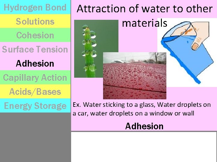 Hydrogen Bond Solutions Cohesion Surface Tension Adhesion Capillary