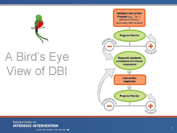 Introduction to DataBased Individualization DBI Considerations for Implementation