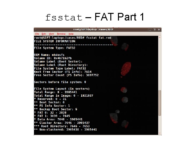 The Sleuth Kit Brian Carrier Set of tools