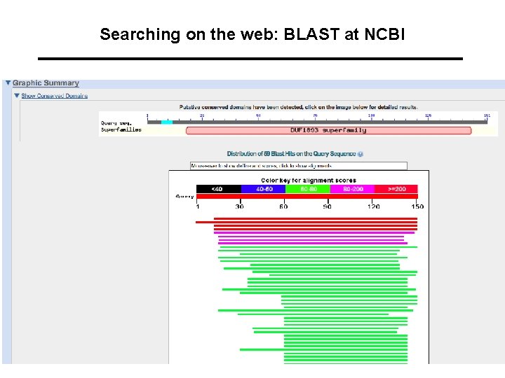 BLAST Sequence alignment Evalue Extreme value distribution Database