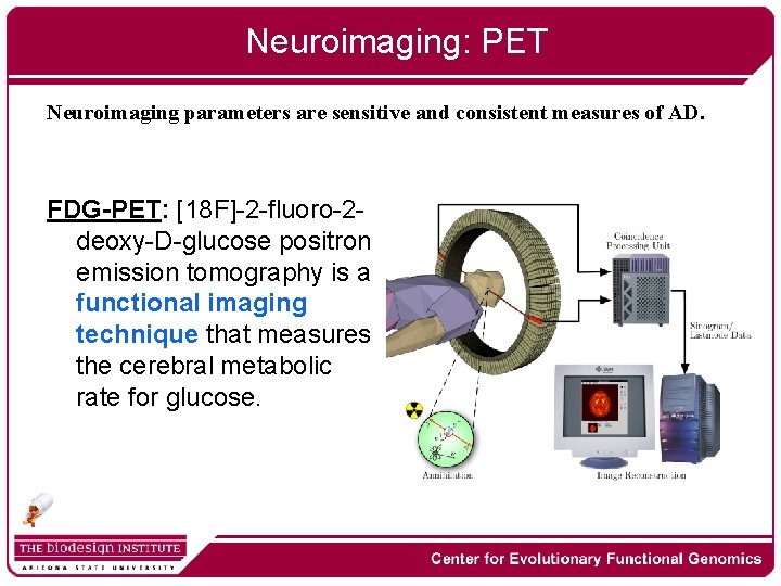 Mining Brain Region Connectivity for Alzheimers Disease Study