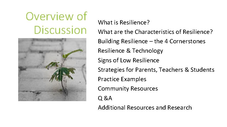 RESILIENCE A Guide to Building Resiliency JuniorHigh School