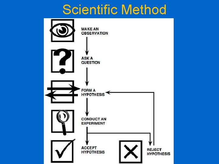 Biology Observations are a critical component of science