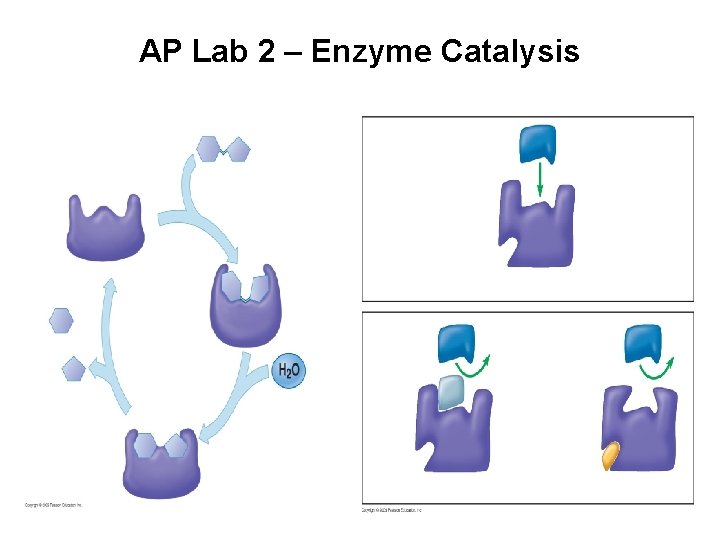 AP EXAM REVIEW SESSION III Be prepared not