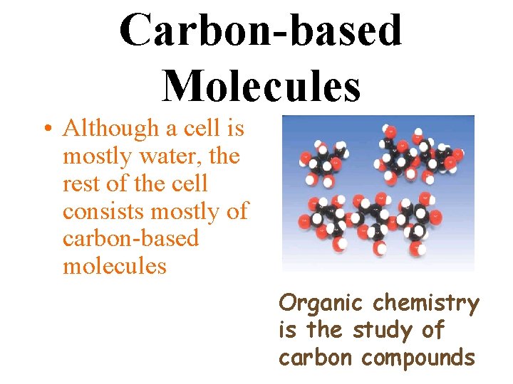 Biochemistry of Cells Uses of Organic Molecules Americans