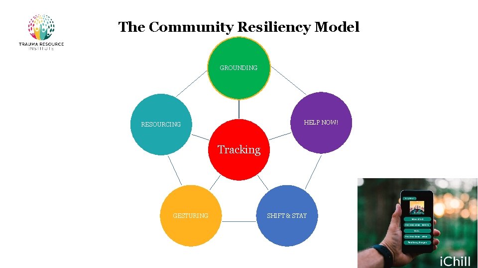 THE COMMUNITY RESILIENCY MODEL Linda Grabbe Ph D