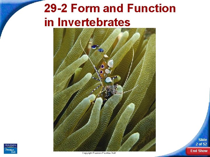 Biology Slide 1 of 52 Copyright Pearson Prentice