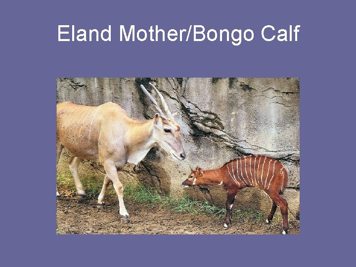 Unit Four Conservation Biology and Sustainability Recap Recall