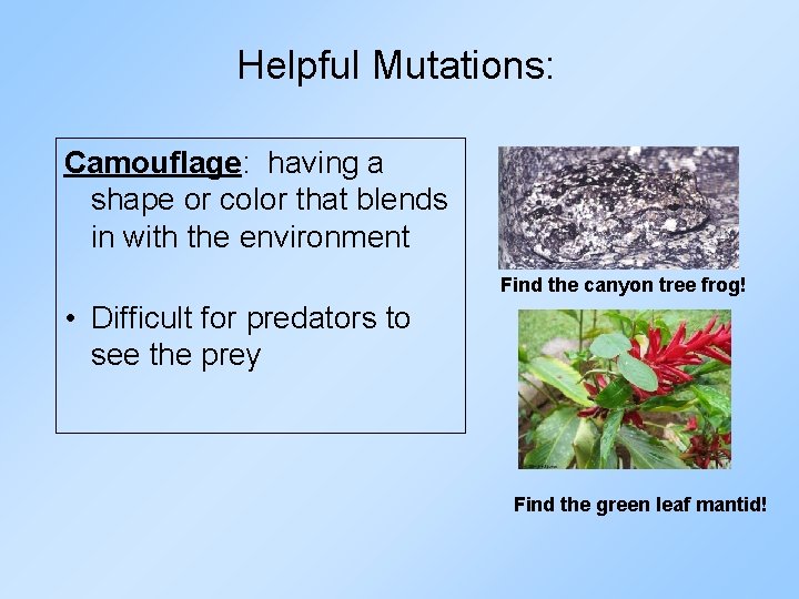 Evolution by Means of Natural Selection Mechanisms of
