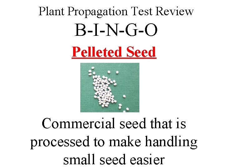 Plant Propagation Test Review BINGO Plant Propagation Reproduction