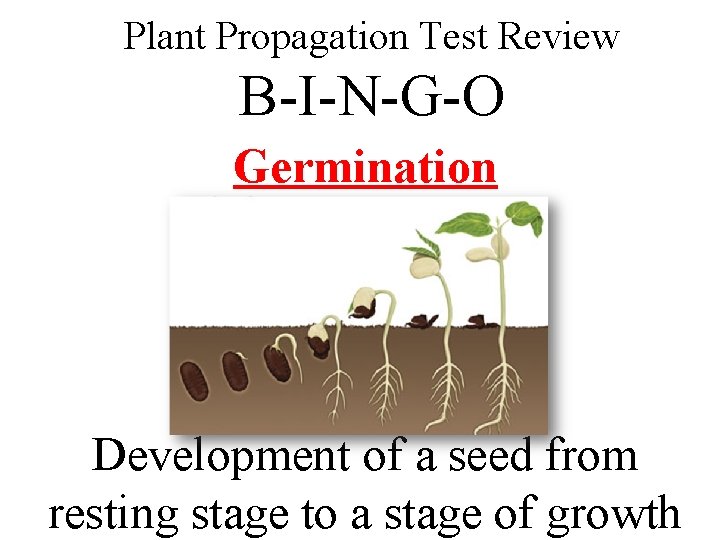 Plant Propagation Test Review BINGO Plant Propagation Reproduction
