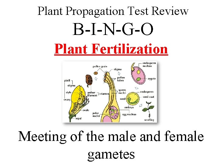 Plant Propagation Test Review BINGO Plant Propagation Reproduction