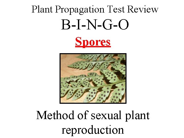 Plant Propagation Test Review BINGO Plant Propagation Reproduction