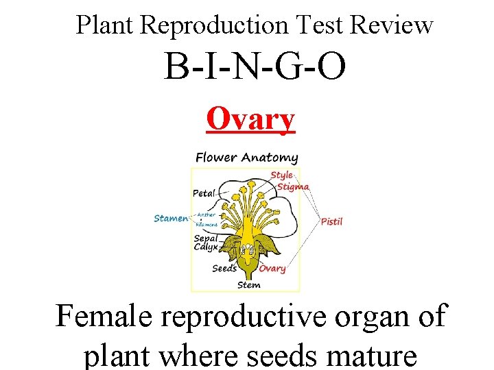 Plant Propagation Test Review BINGO Plant Propagation Reproduction