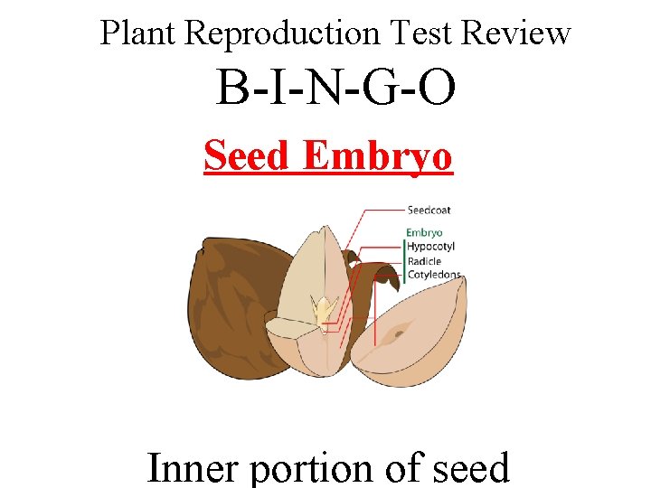 Plant Propagation Test Review BINGO Plant Propagation Reproduction