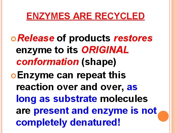 ENZYME CATALYSIS LAB AP Lab 1 AP Biology