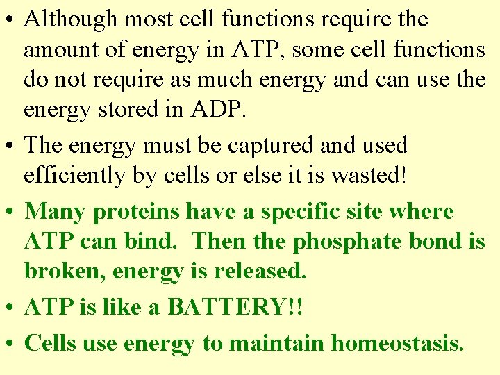 Why is it Important to Learn About Energy