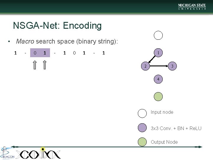 Nsganet Neural Architecture Search Using Multiobjective Genetic Algorithm 2766