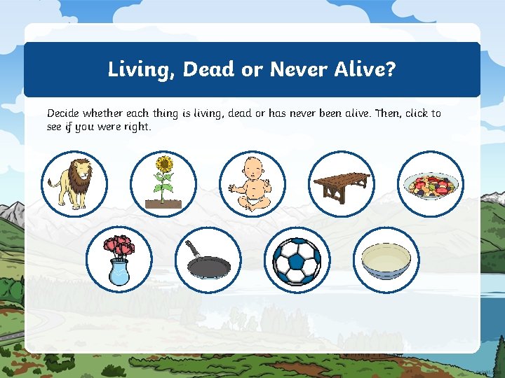 Different Objects Look at all these objects Talk