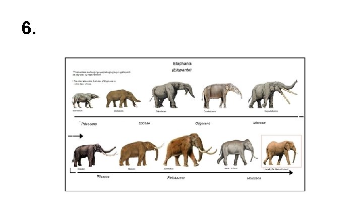 How do Species Change Over Time Important Vocabulary