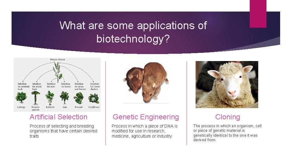 BIOTECHNOLOGY UNIT 9 LESSON 2 What is biotechnology