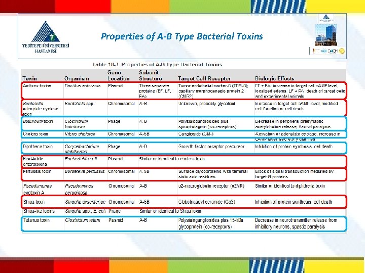 Bacterial Pathogenesis Learning Objectives Define the basic concepts