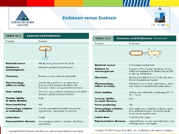 Bacterial Pathogenesis Learning Objectives Define the basic concepts