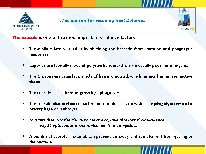 Bacterial Pathogenesis Learning Objectives Define the basic concepts