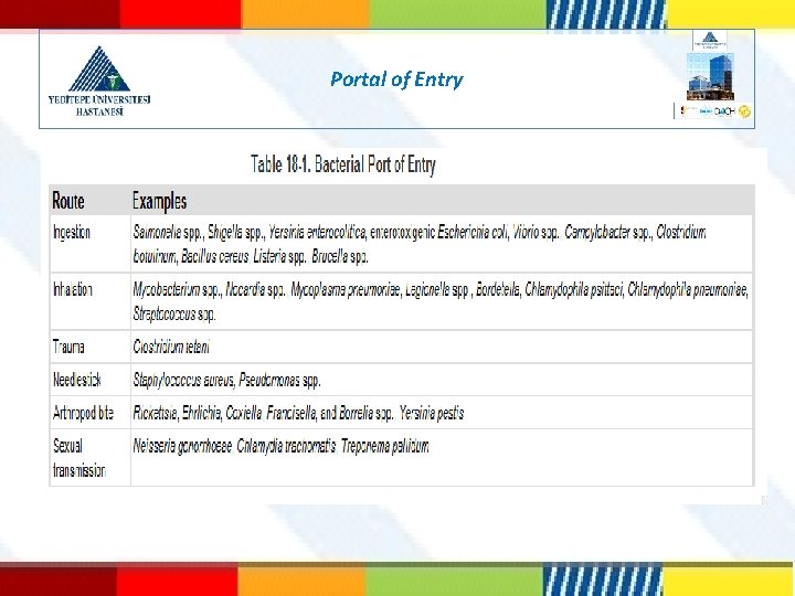 Bacterial Pathogenesis Learning Objectives Define the basic concepts
