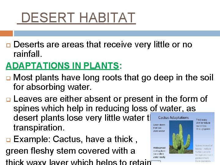 ADAPTATION IN TERRESTRIAL PLANTS AND ANIMALS TERRESTRIAL HABITATS