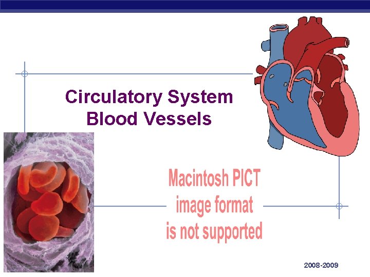 Circulatory System in Animals Regents Biology 2008 2009