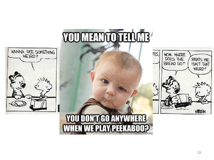 Unit 9 Developmental Psychology Power Point Presentation by