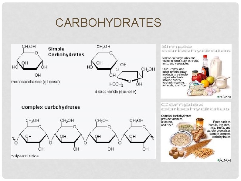 Organic Chemistry The Building Blocks of Life Chapter