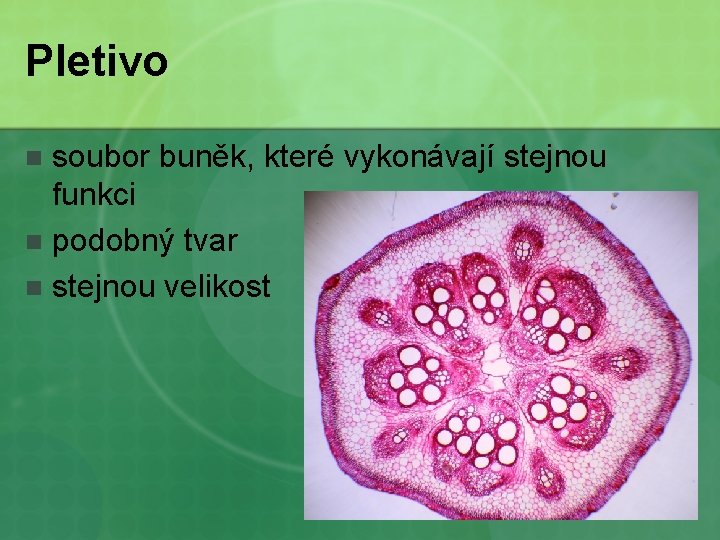 Nzev Rostlinn pletiva Pedmt ronk Biologie 1 ronk