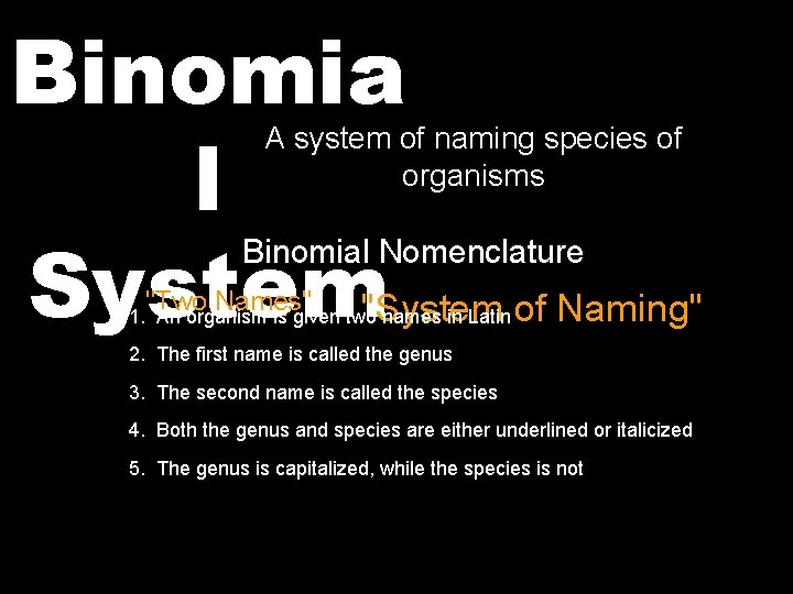 Classification of Living Things By Karl Fernandez Taxonomy