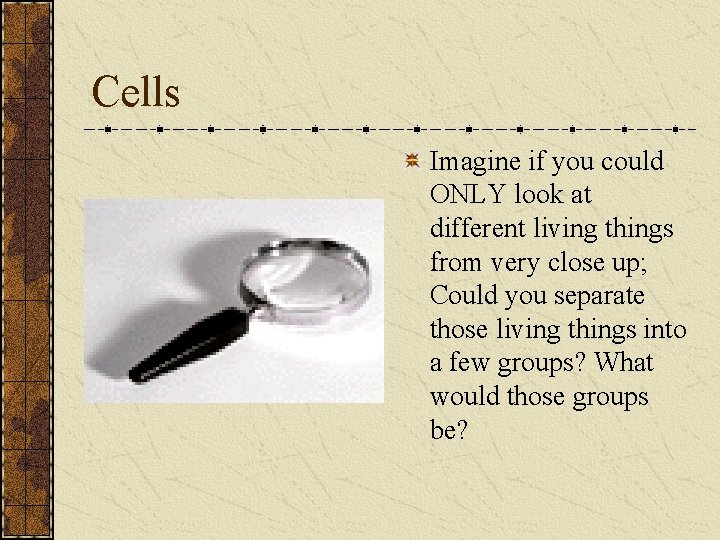 The Cell the basic unit of living things