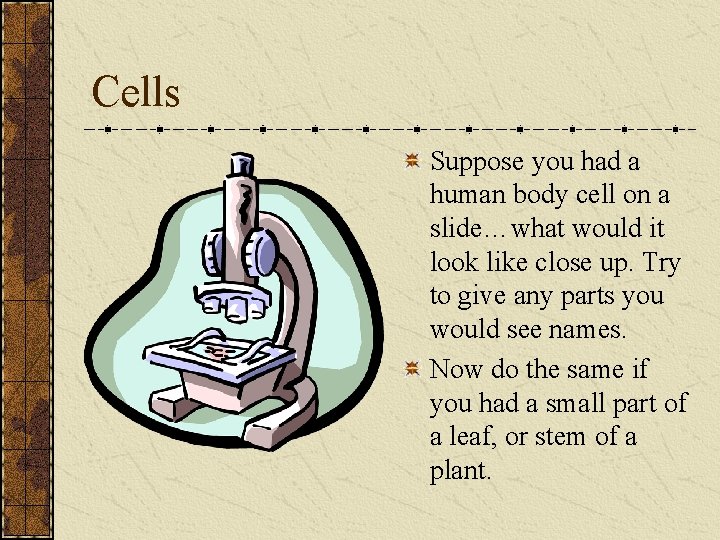 The Cell the basic unit of living things