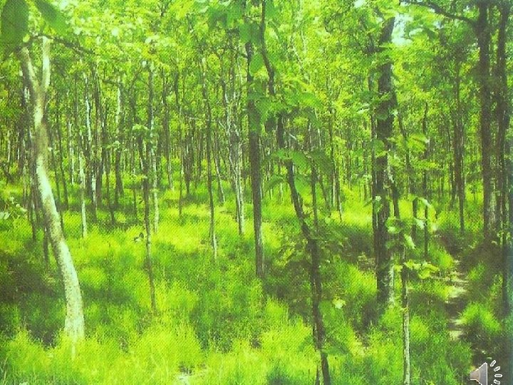 Kim tra bi c c thuc lng bi