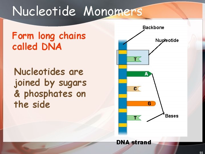 Biochemistry of Cells 1 Carbonbased Molecules Although a